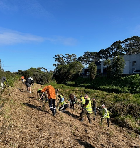 Tree Planting at Puhinui Stream | Rotary Club of Hutt Valley Inc.